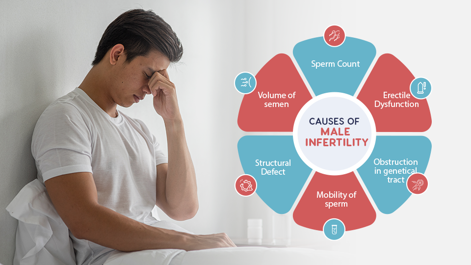 Male Infertility Causes and Treatments: Key Insights & Solutions