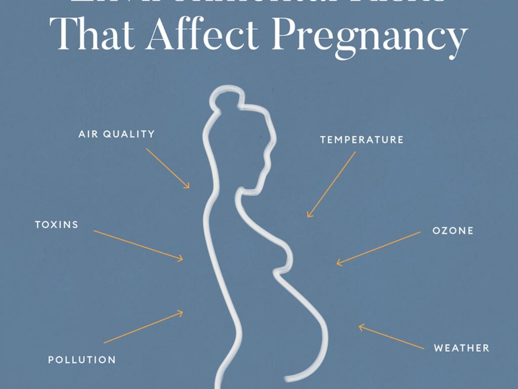 Environmental Factors Affecting Fertility: Key Lifestyle Insights