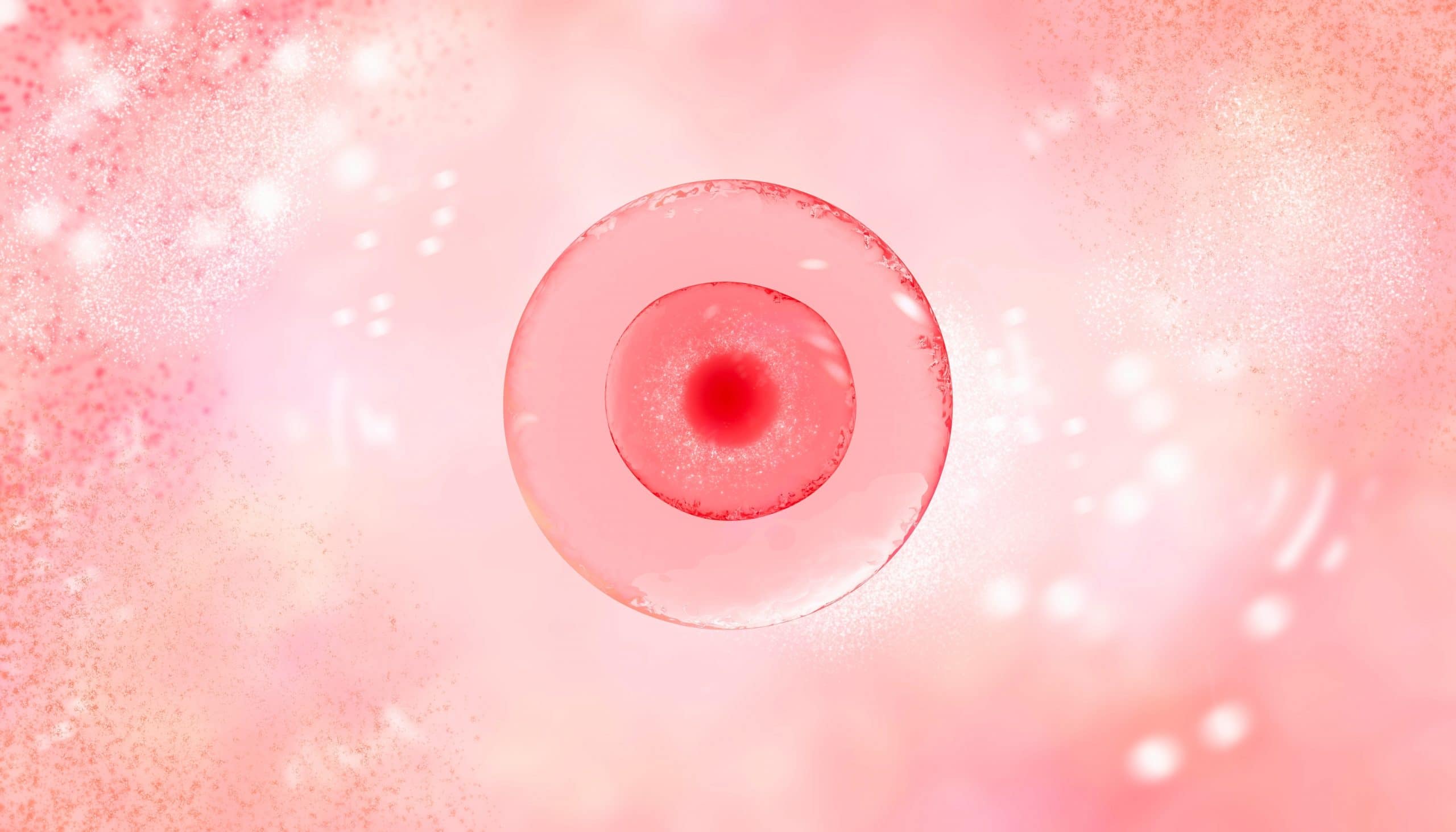 Ovarian Reserve: Understanding Egg Supply and Fertility Potential