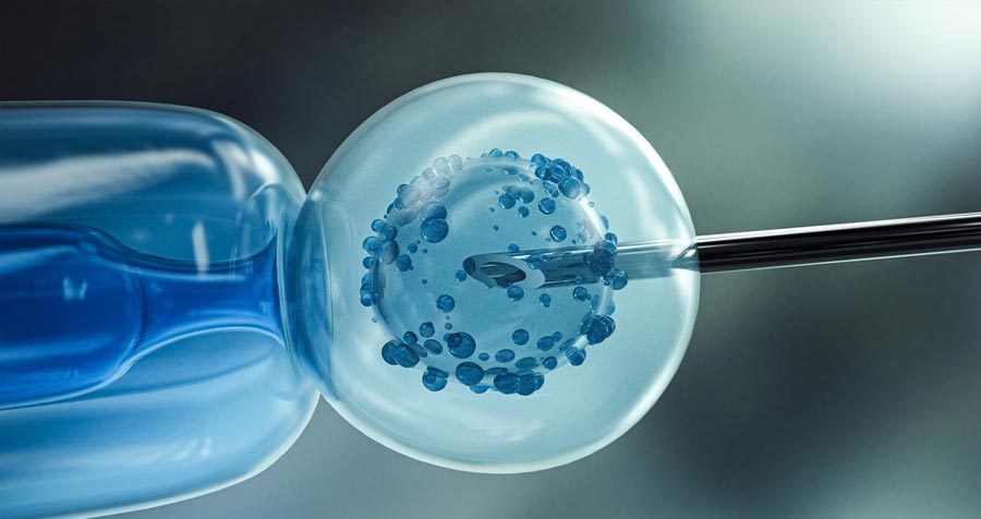 Understanding the risks and benefits of double embryo transfer in IVF